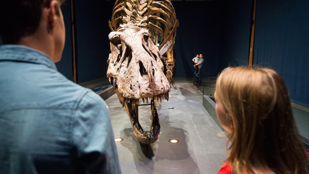 Naturalis Biodiversity Center | Natuurhistorisch museum ...