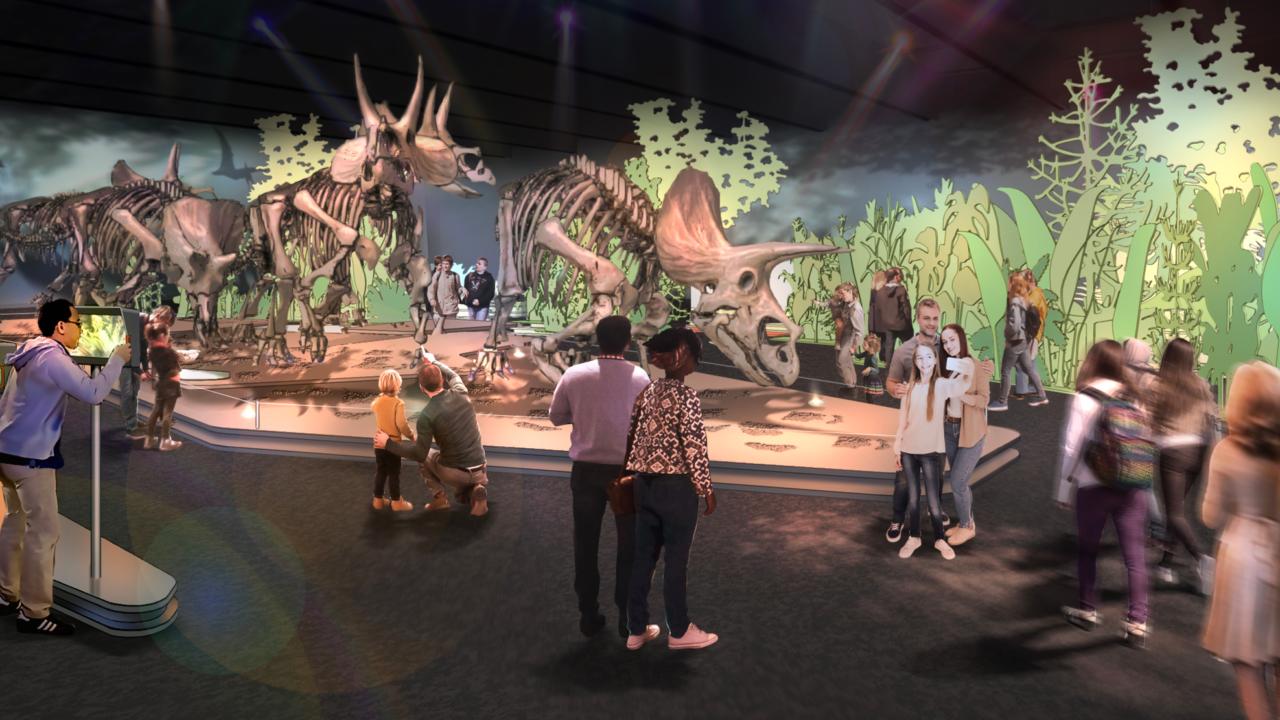 Vijf triceratopsen van Naturalis gaan op tour Eén van de kudde bij jou ...