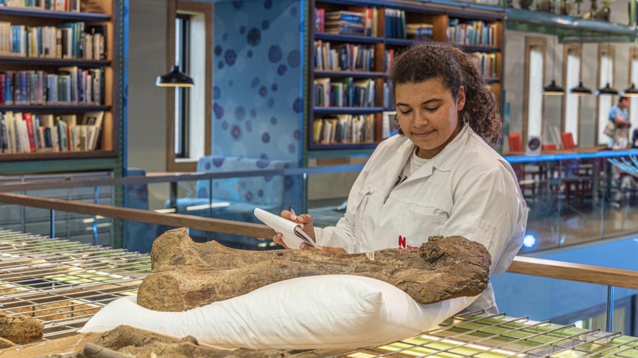 Spotlight: Triceratops Special with Yasmin Grooters | Naturalis