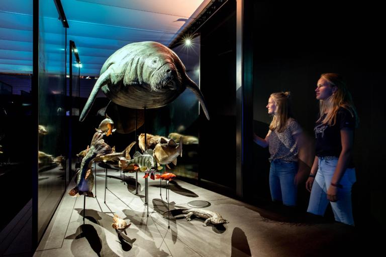 Speurspel ontdek de oceaan | Naturalis
