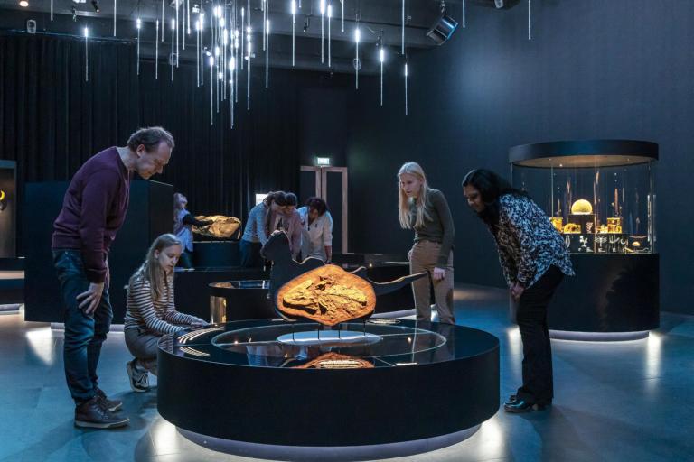 Bezoekersrecord voor Naturalis | Naturalis