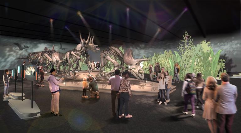 Triceratops: de kudde van Naturalis | Naturalis